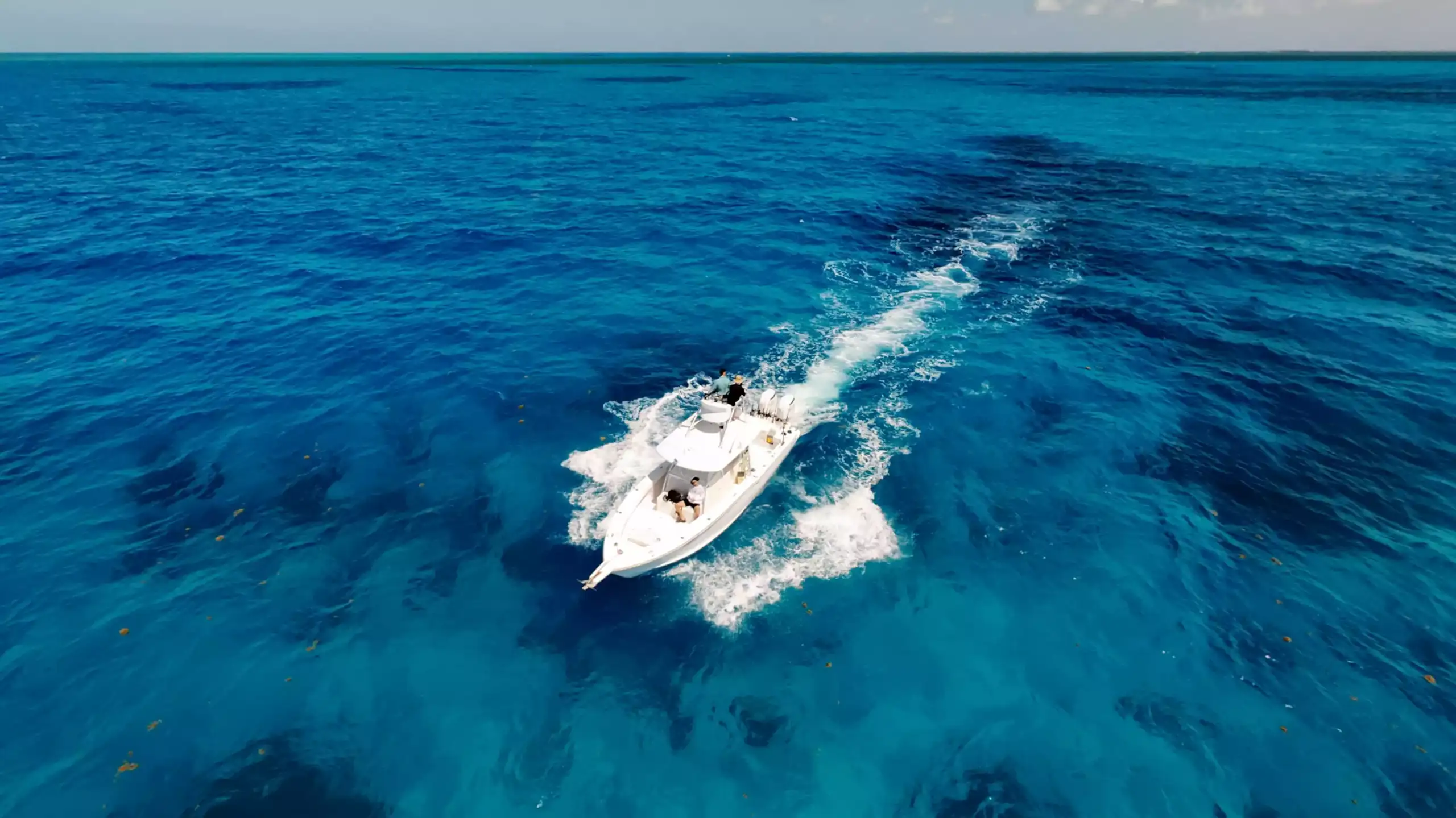 Offshore and backcountry fishing in the Lower Keys – FUNYET CHARTERS
